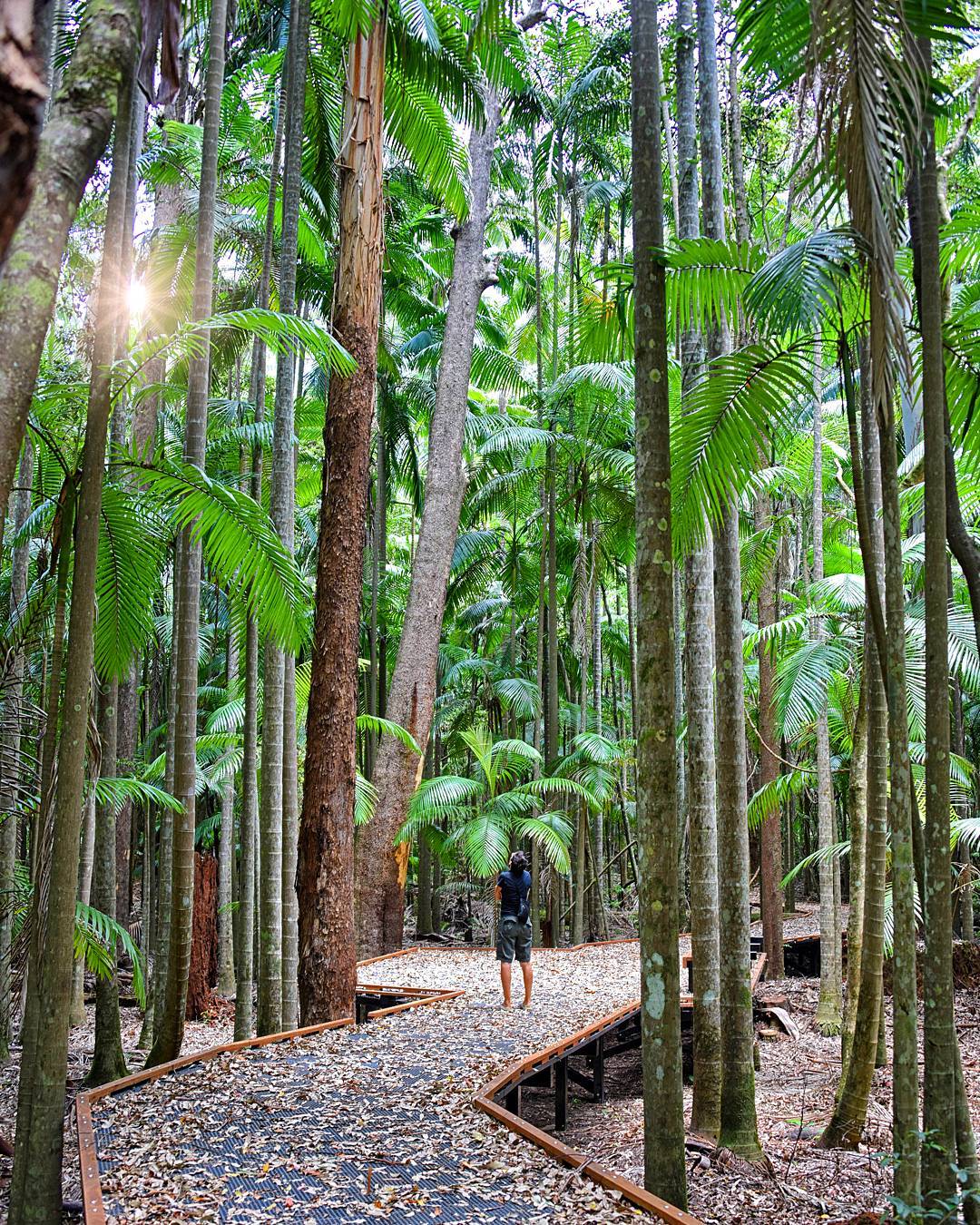 Lock eyes on the most beautiful places in Brisbane | Queensland