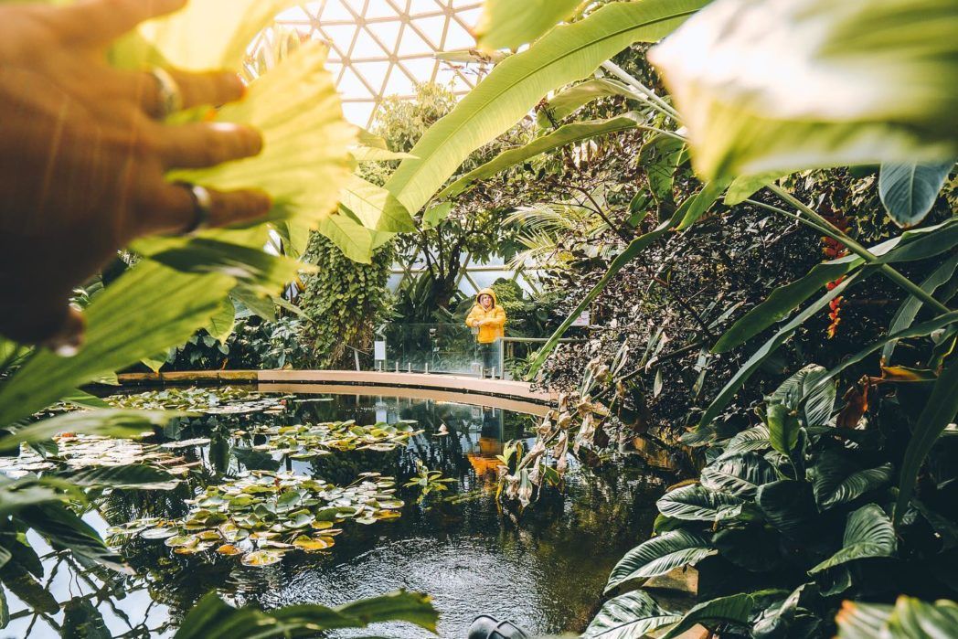 What to Do at Brisbane's Mount Coot-tha for Adventure | Queensland