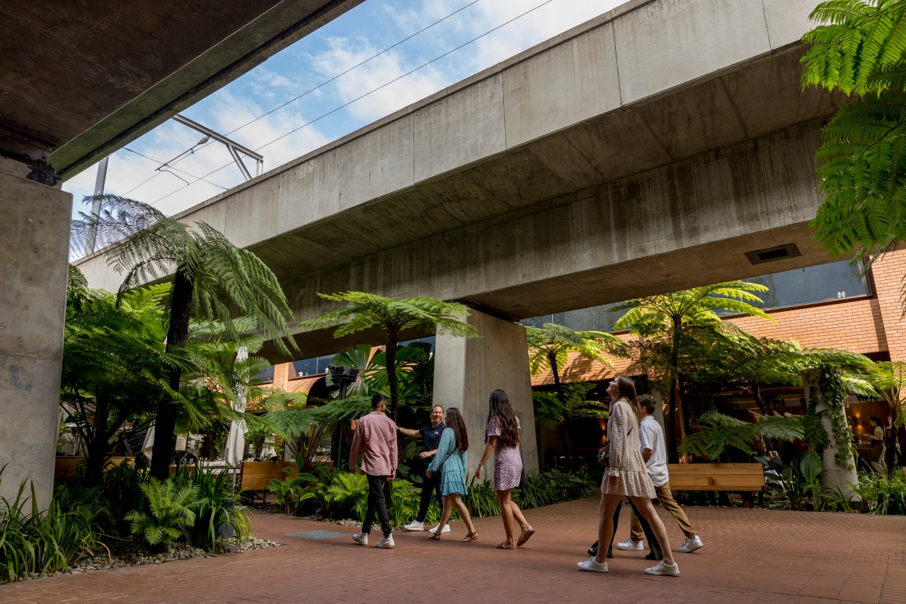 Experience Brisbane Like a Local: What To Do | Queensland