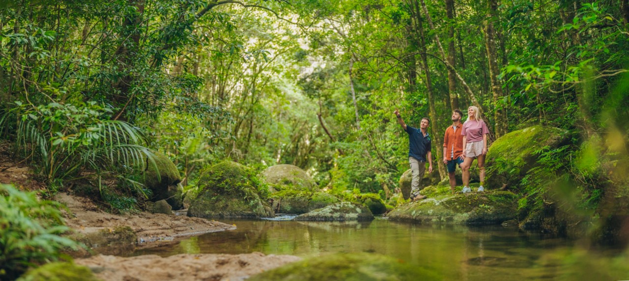 Cape Tribulation National Park