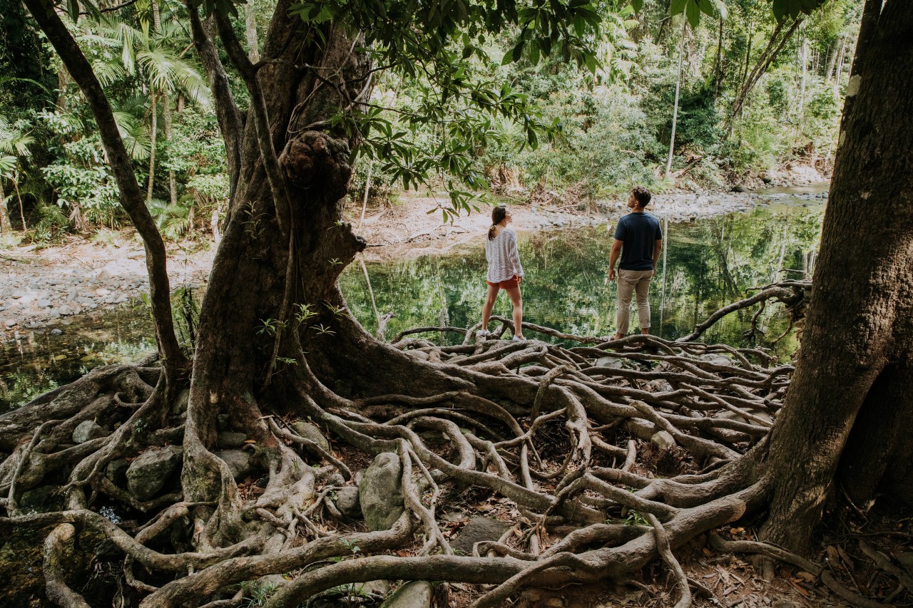 The Must-Do Guided Tours in Cairns & Great Barrier Reef | Queensland