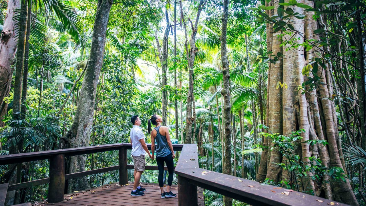 Visit Gold Coast - Attractions and Things to See | Queensland