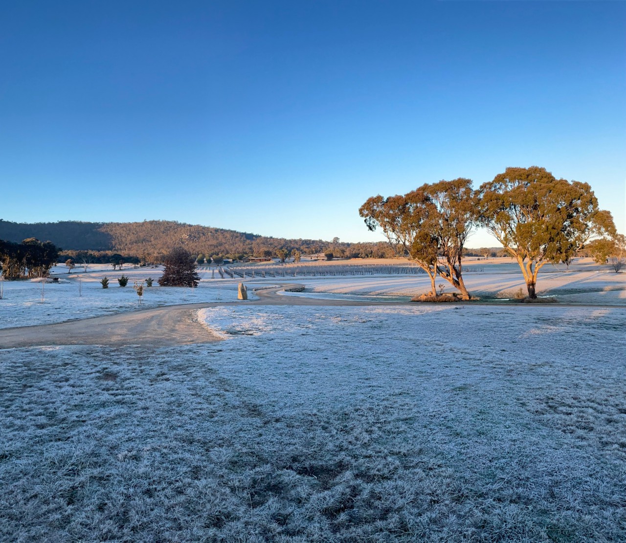 Where to See Snow In Queensland (Best Places In Winter) | Queensland