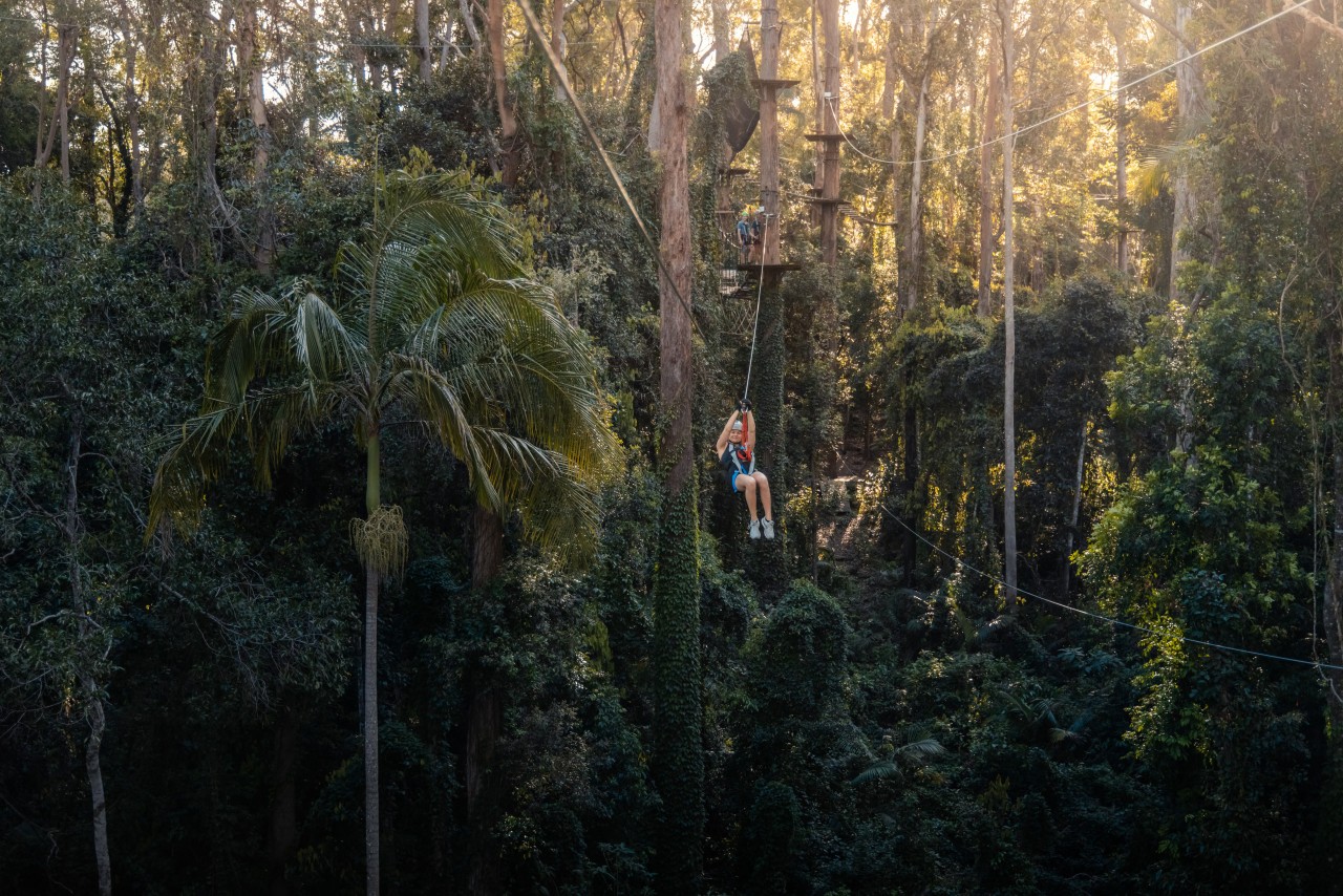 Why Woombye Belongs on Your Radar | Queensland