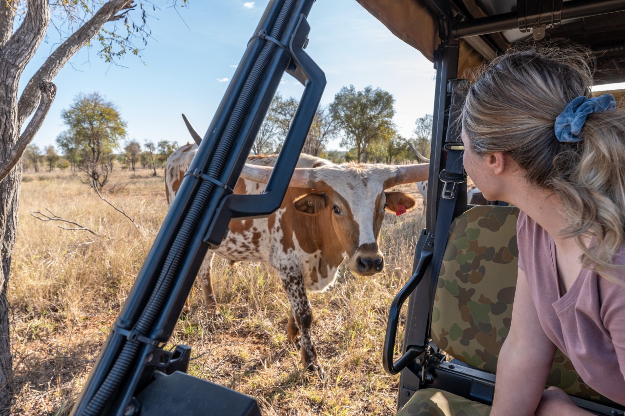 Everything You Need to Know About Charters Towers | Queensland