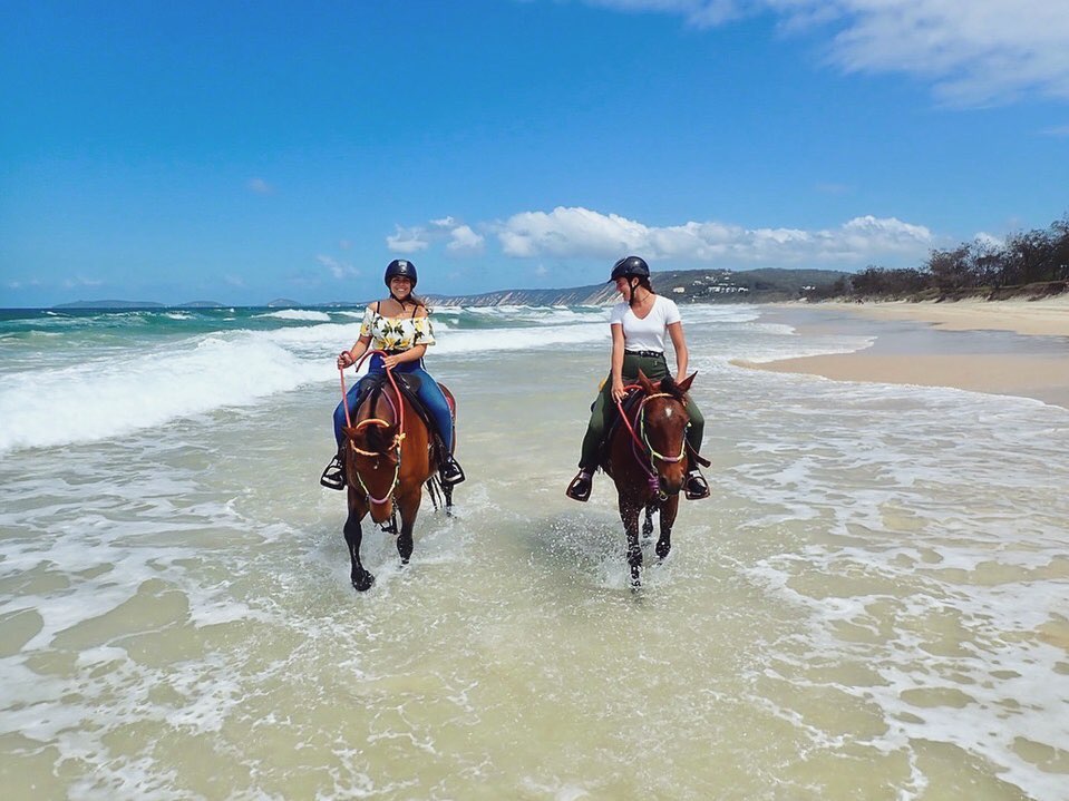 Saddle Up for the Best Beach Horse Riding Tours in Queensland | Queensland