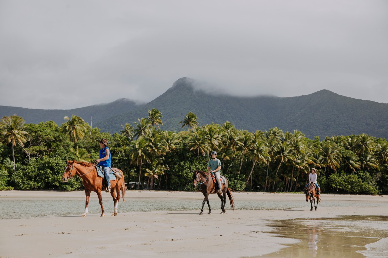Saddle Up for the Best Beach Horse Riding Tours in Queensland | Queensland