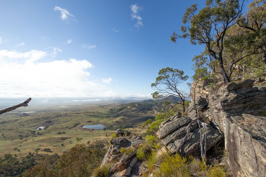Educational Australian Cattle Farm Experiences | Queensland