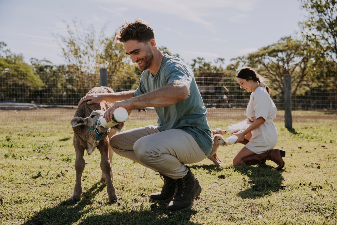 Best Queensland Farm Stays & Farm Cottages | Queensland