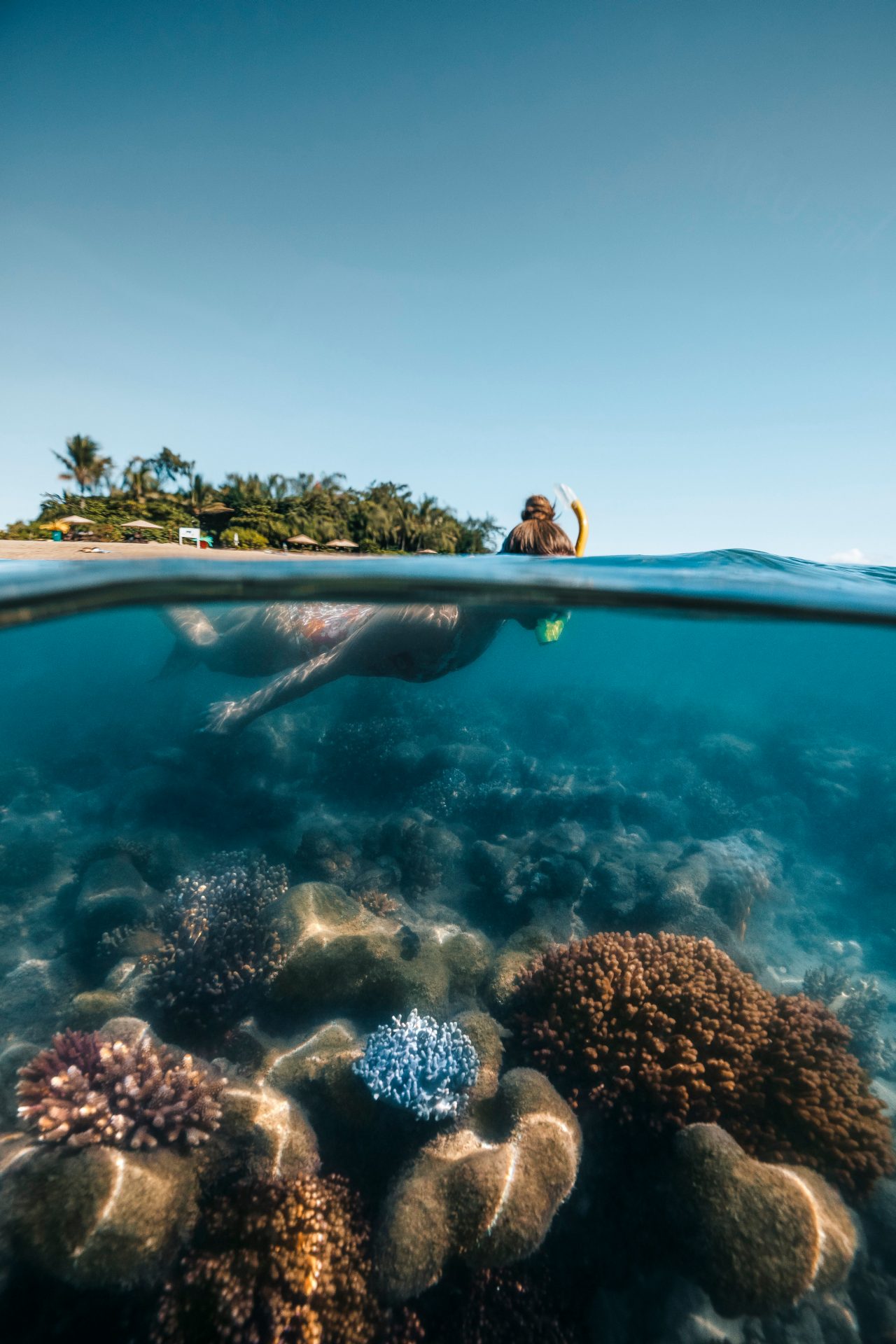 How to experience the Great Barrier Reef on a budget | Queensland