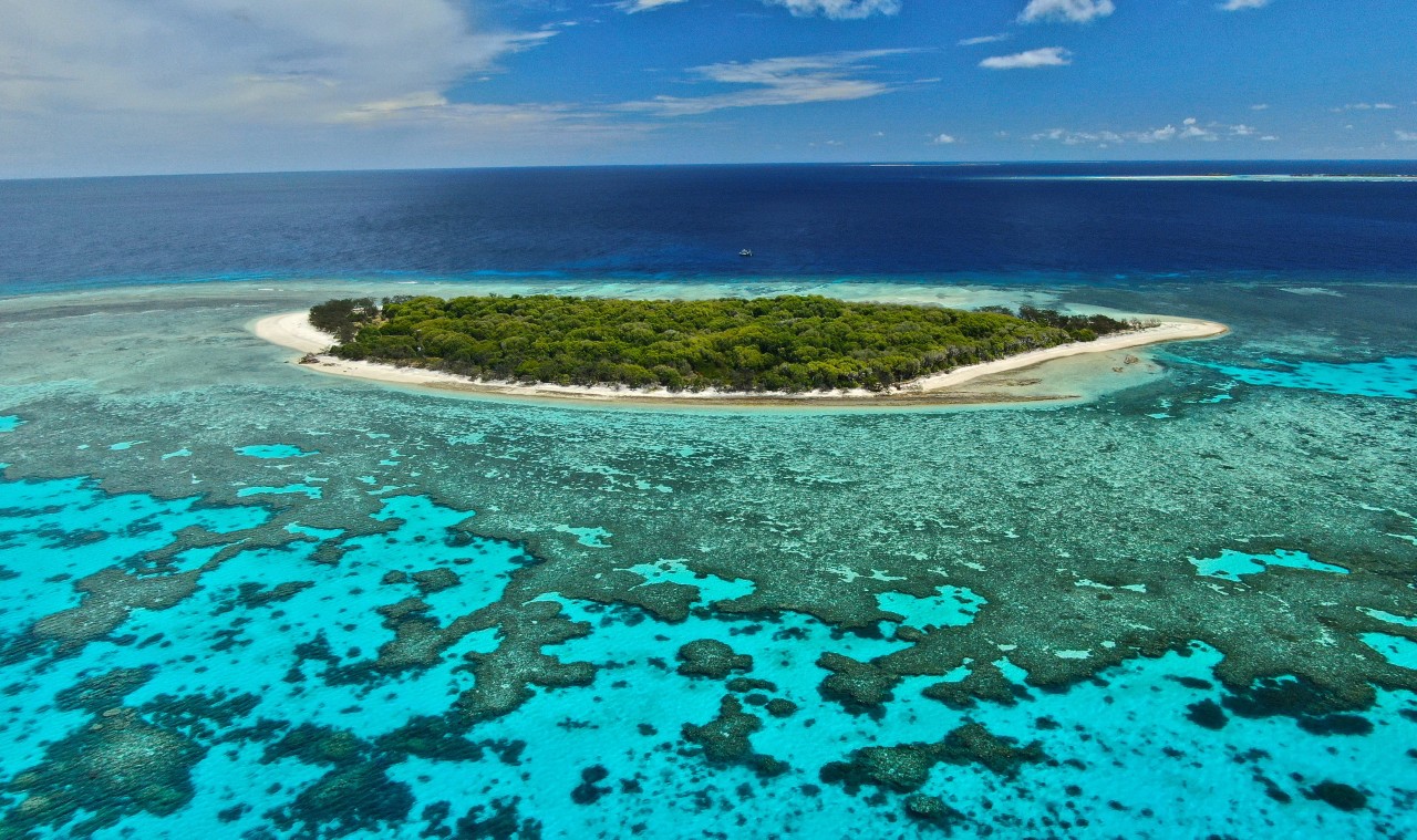 Island Hop With The Best Queensland Reef Day Trips | Queensland