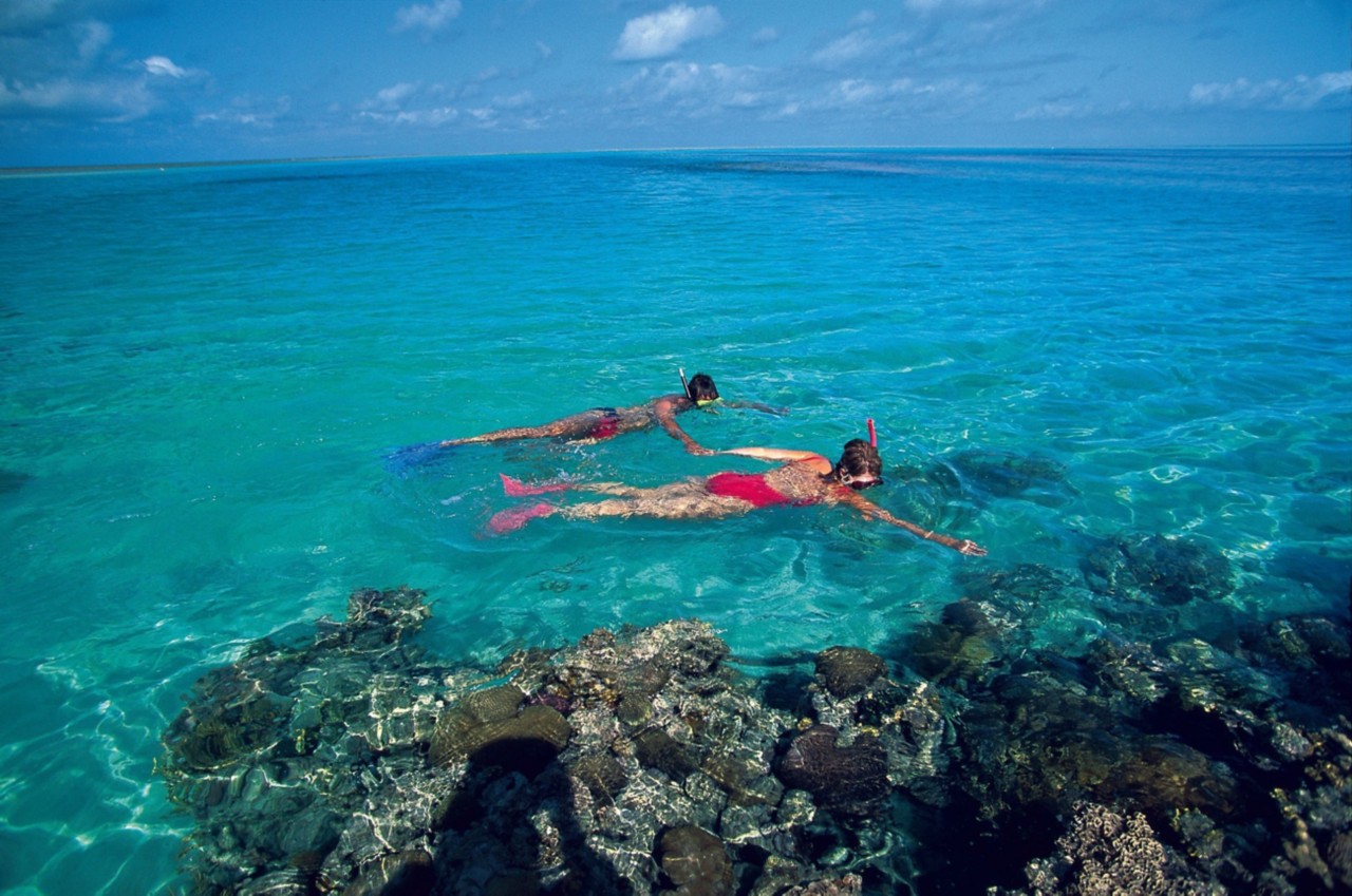 How To Explore The Great Barrier Reef From Mackay | Queensland