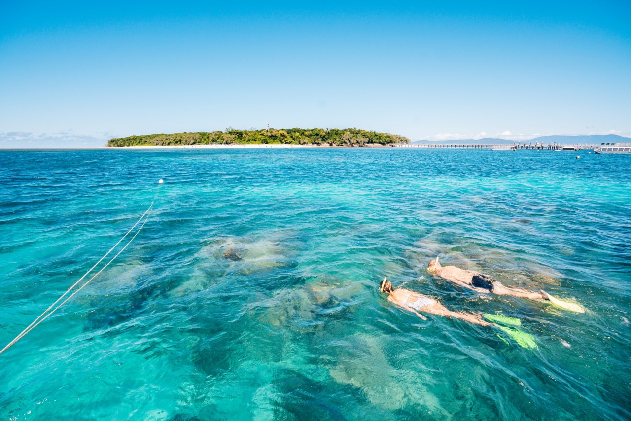 Incredible Great Barrier Reef Islands For Your Holiday - Visitor's ...
