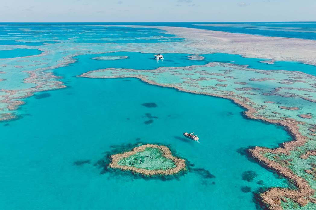 Experience Heart Reef On the Great Barrier Reef | Queensland