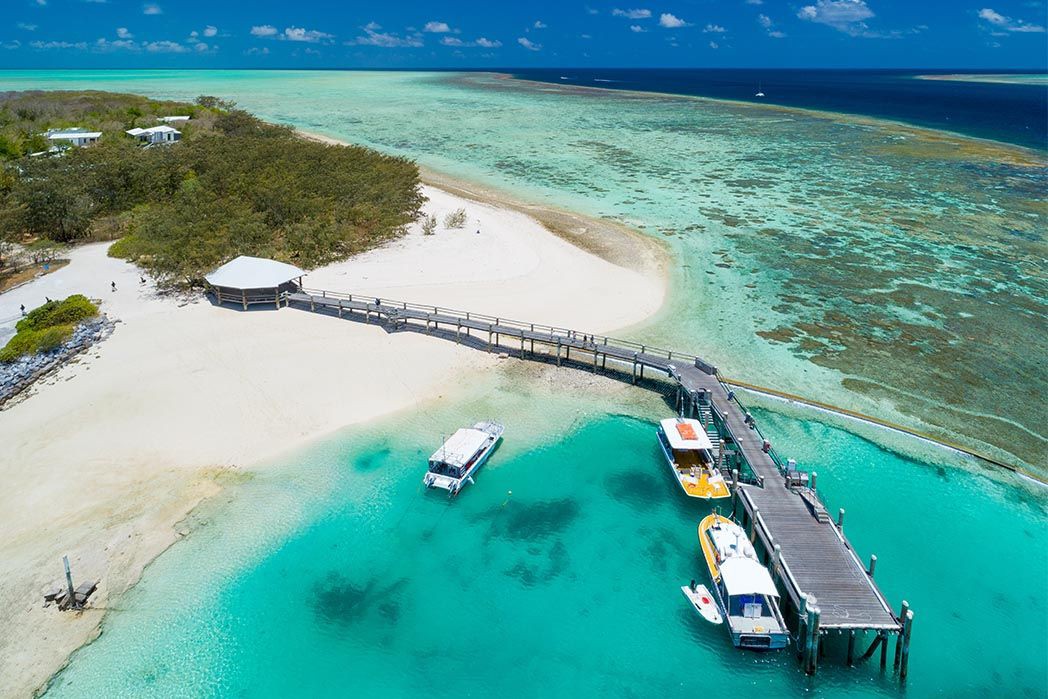 The Ultimate Southern Great Barrier Reef Visitor's Guide | Queensland