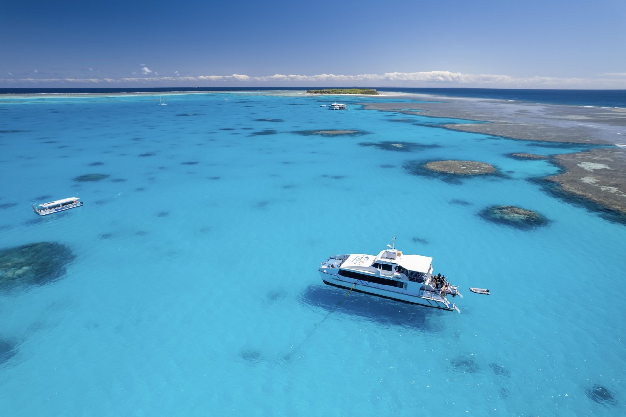 Lady Musgrave Island Day Trips and Tours Guide | Queensland