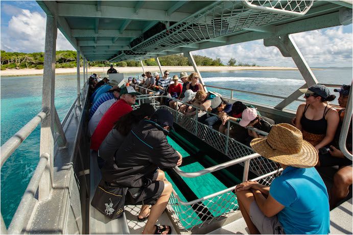 Why You Need to Visit Lady Musgrave Island | Queensland