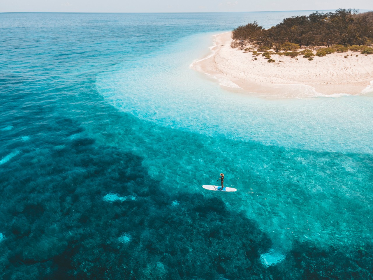 Why Visit Wilson Island on the Southern Great Barrier Reef | Queensland