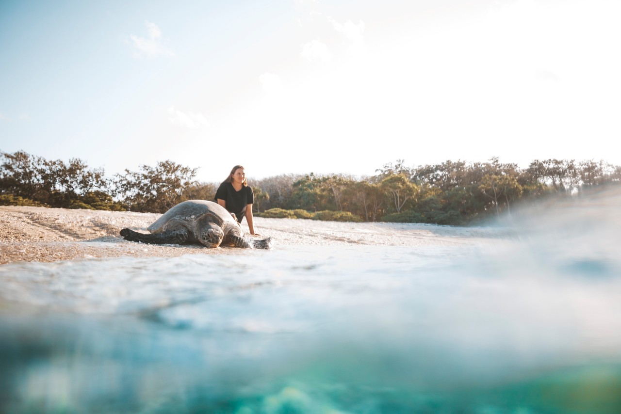 Why Visit Wilson Island on the Southern Great Barrier Reef | Queensland