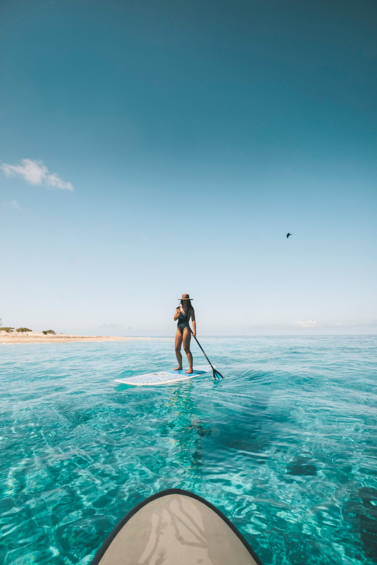 Why Visit Wilson Island on the Southern Great Barrier Reef | Queensland