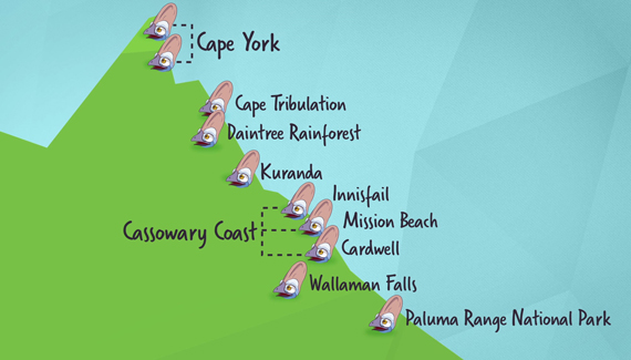 9 Amazing Facts About the Cassowary | Queensland