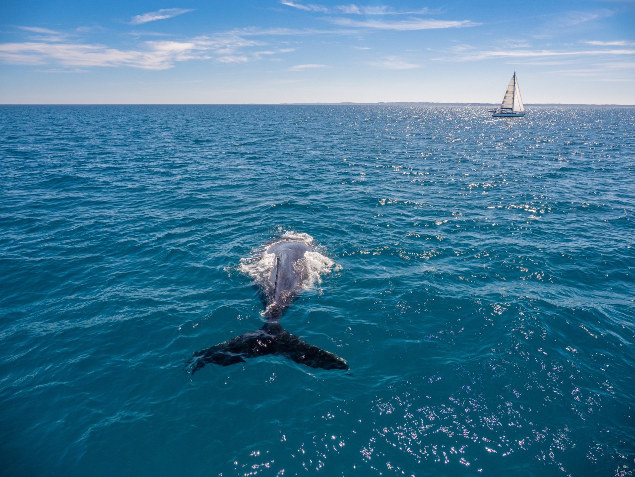 How To Do The Great Sandy Strait Biosphere | Queensland