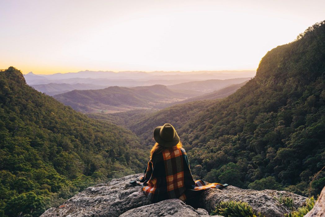 Traverse Ancient Terrain In QLD’s Gondwana Rainforest | Queensland