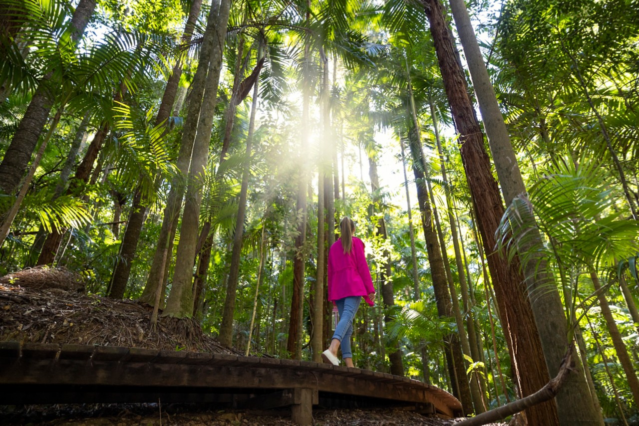 How to Do D'Aguilar National Park from Brisbane | Queensland