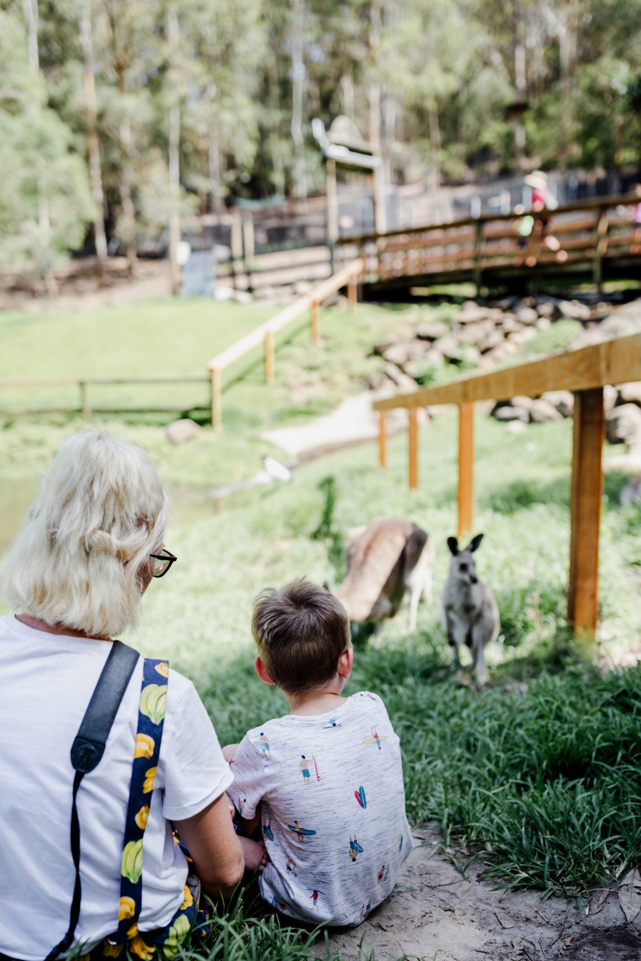 Wild Side: Queensland's Australian Animals Encyclopedia | Queensland