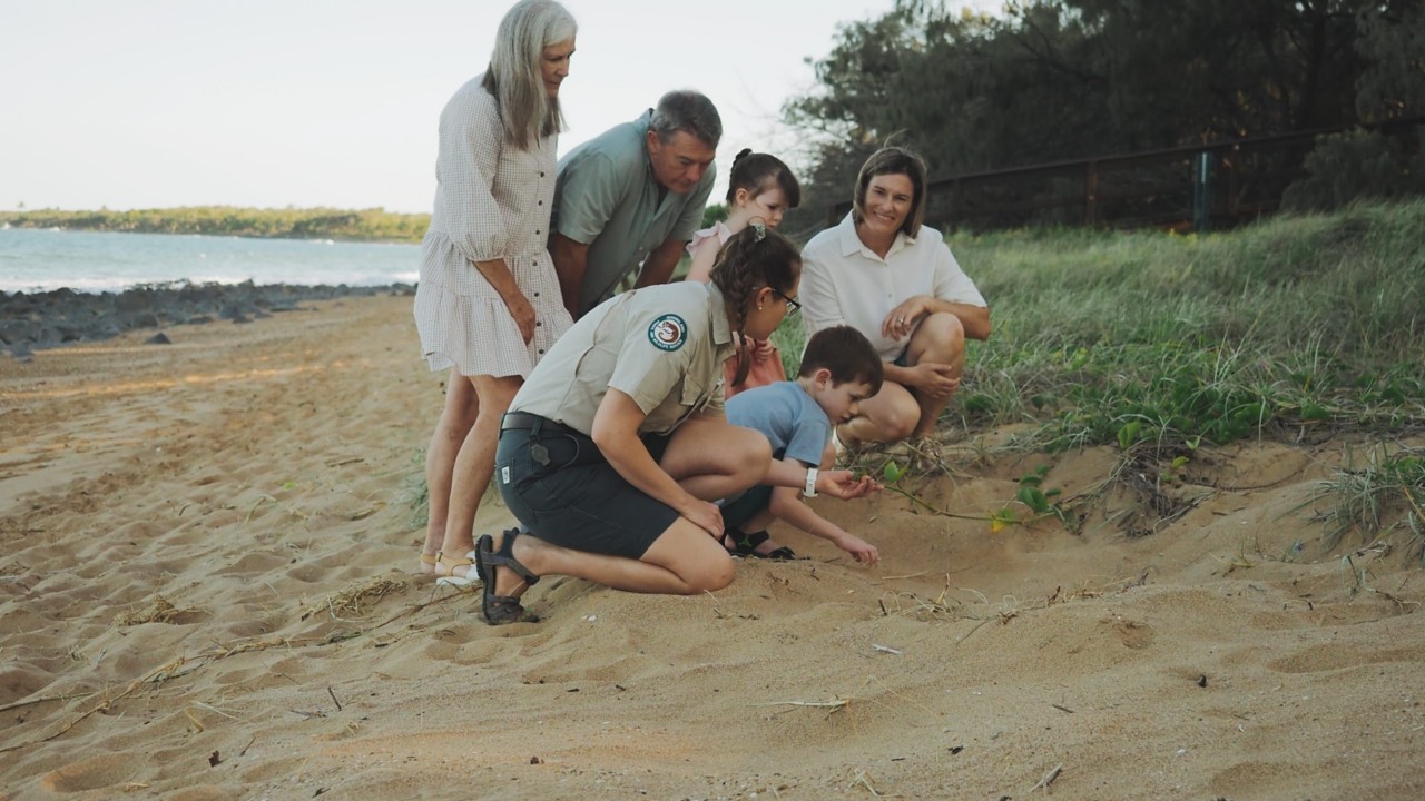 A Guide to Turtle Sands, Mon Repos | Queensland