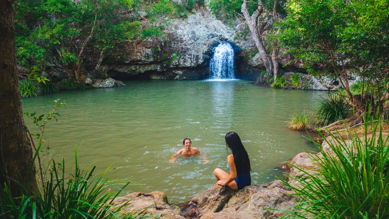 How to do Kondalilla Falls and Kondalilla National Park | Queensland
