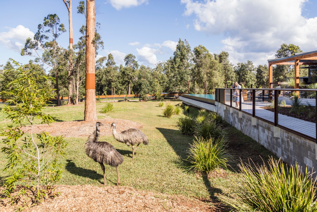 The Crocodile Hunter Lodge – Queensland’s Most Extraordinary Wildlife ...