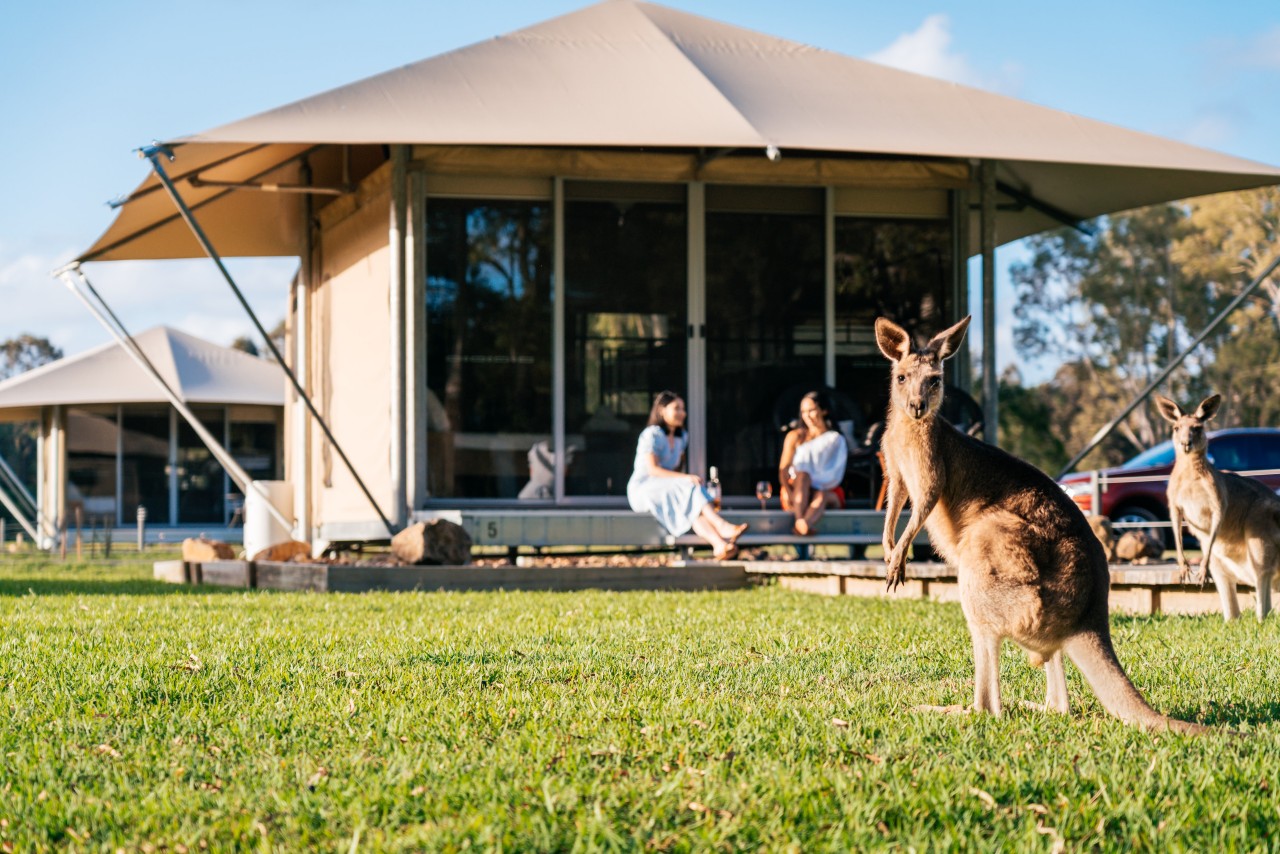 The Most Unique Accommodation on the Sunshine Coast | Queensland