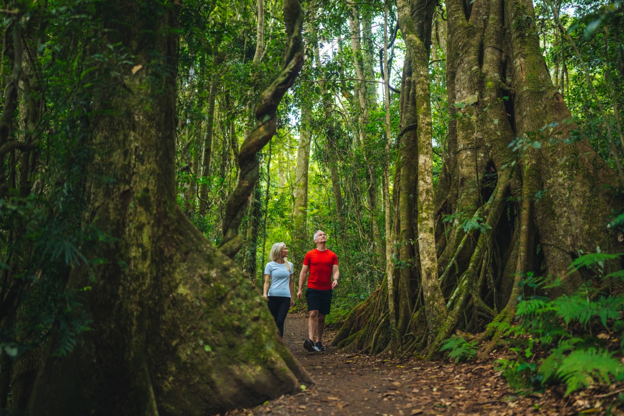 Quick Escape: 48 Hours in the Scenic Rim for Couples | Queensland