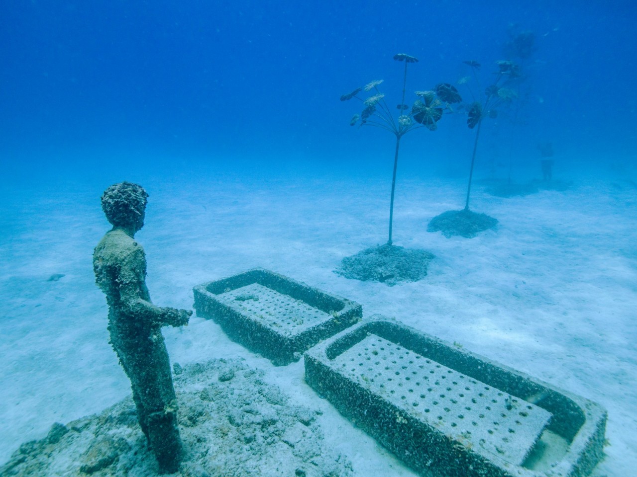 New Museum of Underwater Art sculptures unveiled