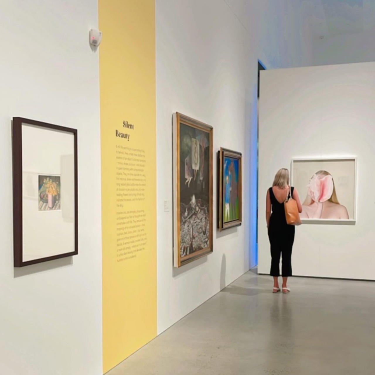 Rockhampton Museum of Art has officially opened | Queensland