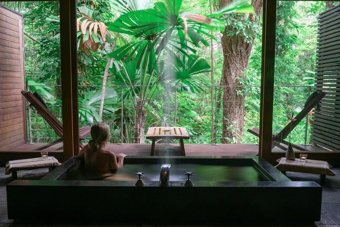 Travel Rewards for Eco-Tourism in Tropical North Queensland | Queensland