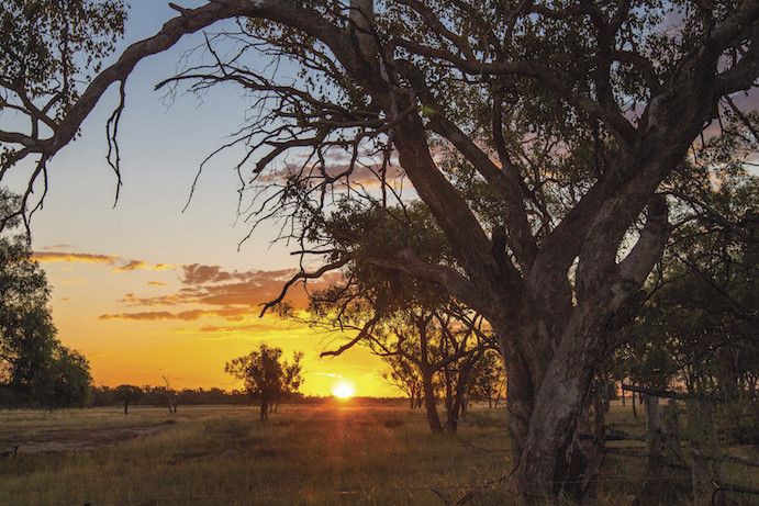 Matilda Way: 8-Day Road Trip to the Heart of Australia | Queensland