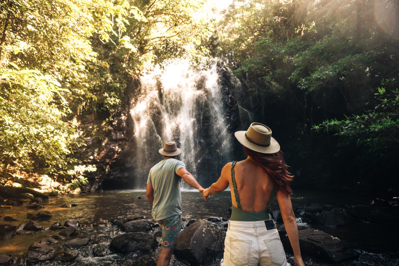 Waterfall Circuit Road Trip | Queensland