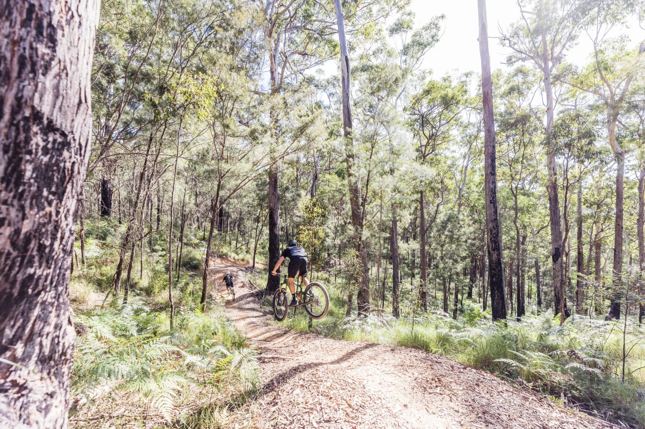 Where to go mountain biking on the Sunshine Coast | Queensland