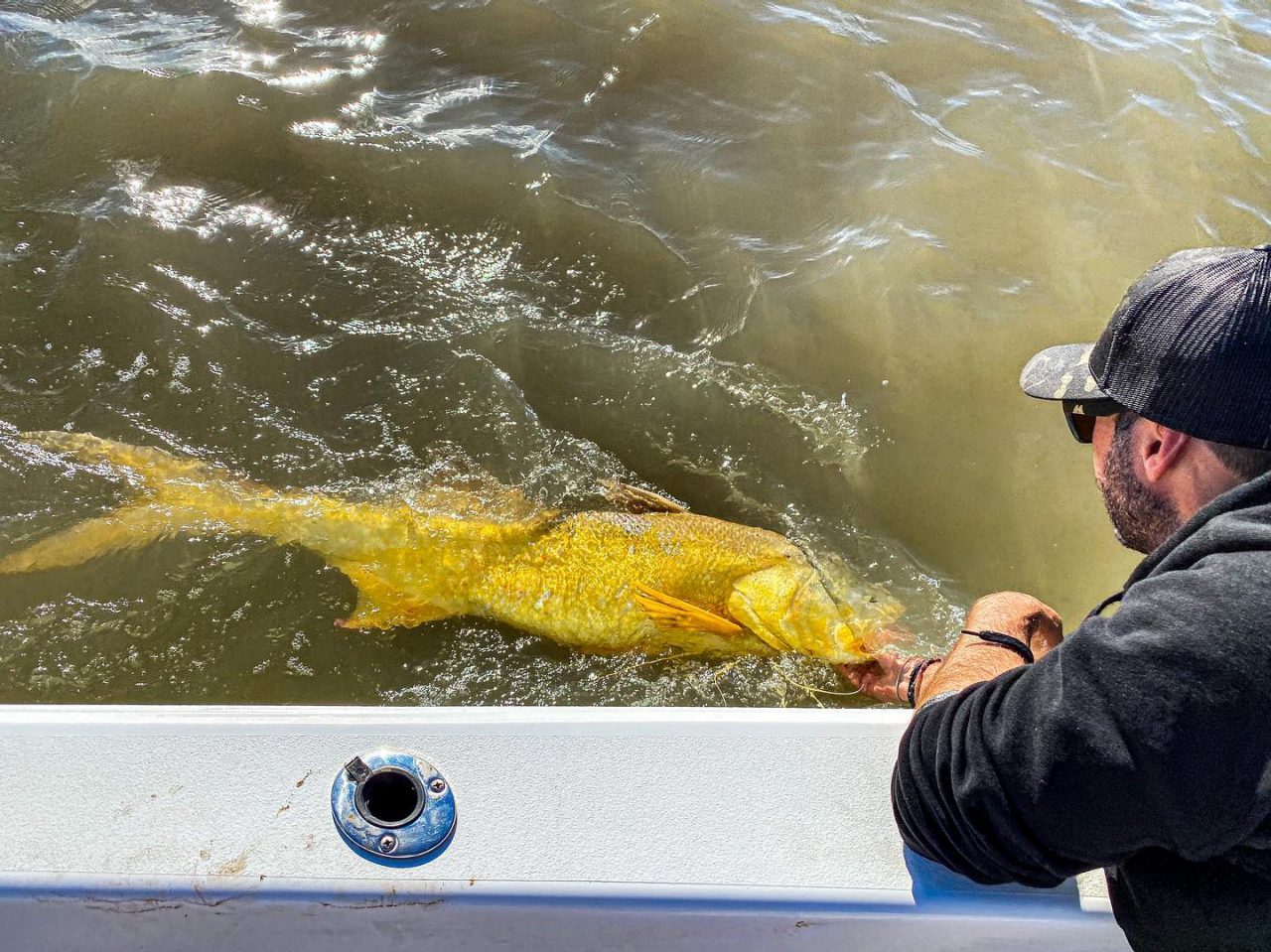 Best Locations to Catch Big Fish in Queensland - Fishing & Boating ...