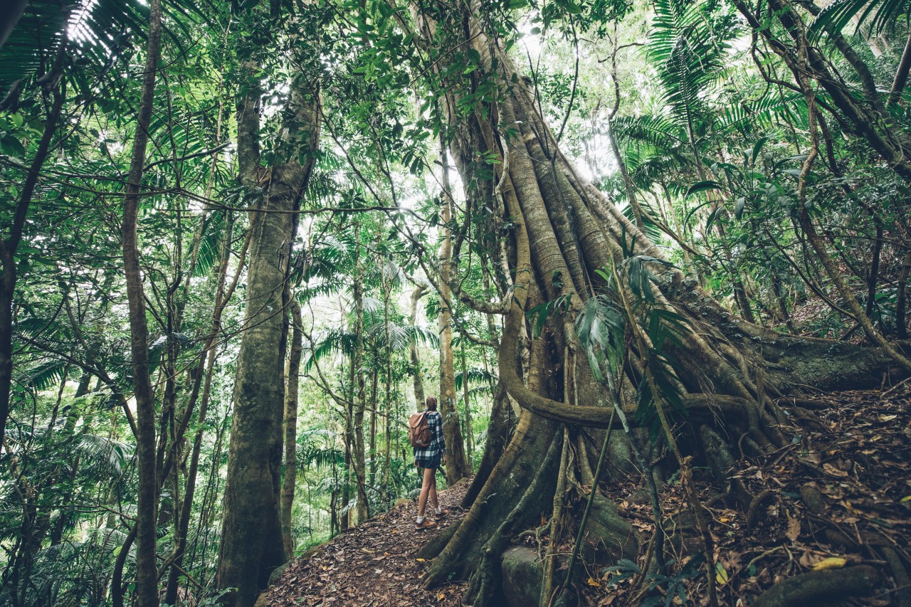 Runner’s Guide to Exploring Queensland’s National Parks | Queensland