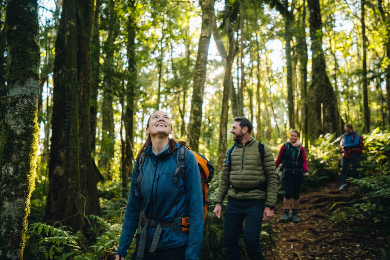 Scenic Rim Trail Guide - Luxury Multi-Day Hiking Adventure | Queensland