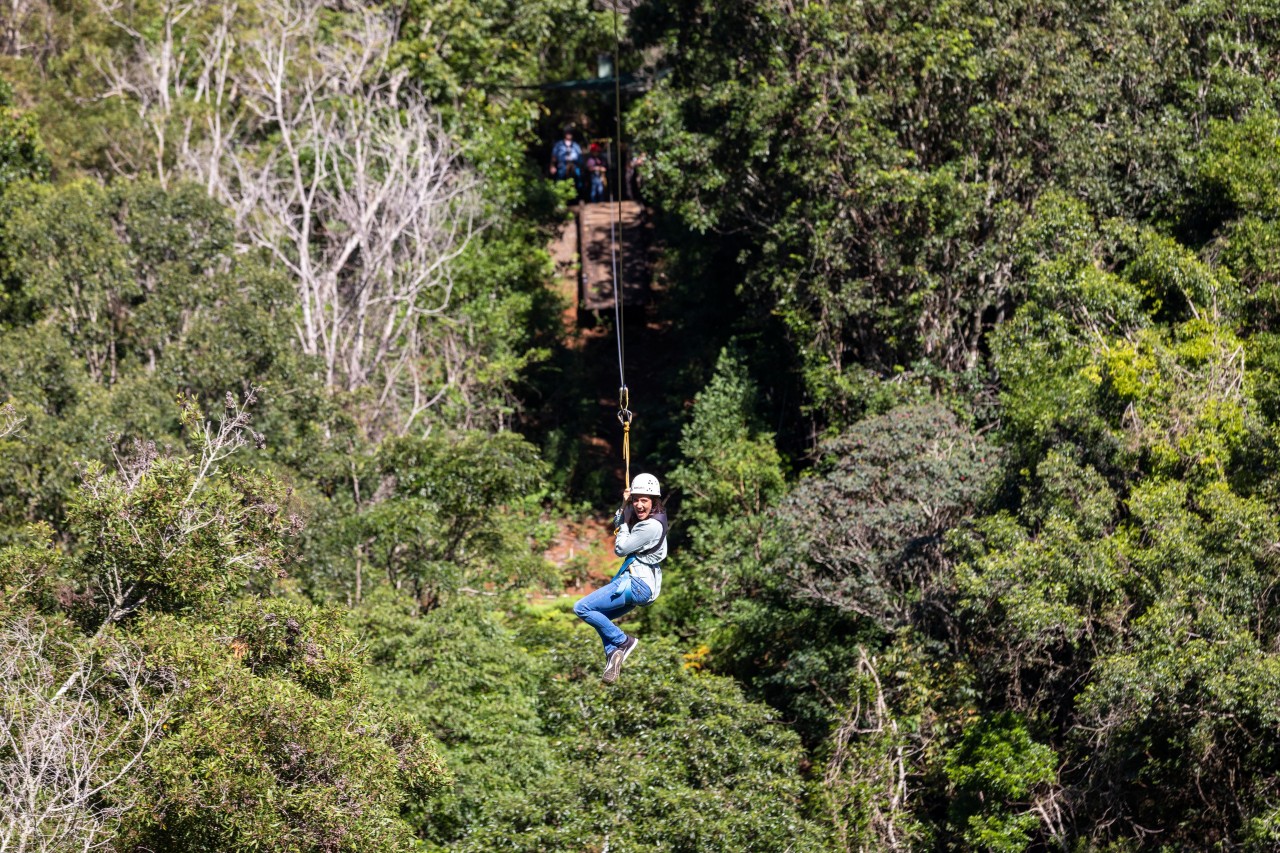 Six of the Best Ziplines in Queensland | Queensland