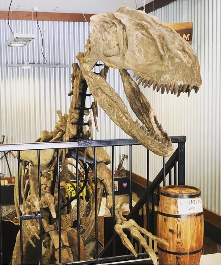 Where to See a Dinosaur in Queensland's Outback | Queensland
