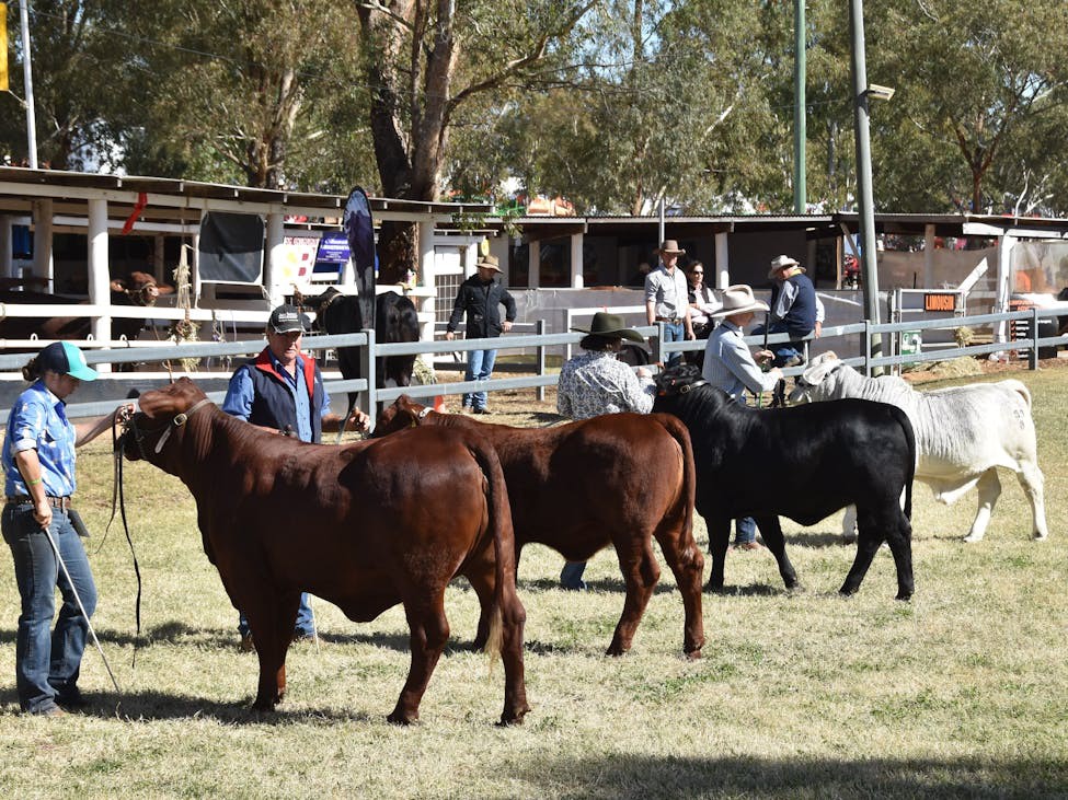 Elders FarmFest Guide | Queensland