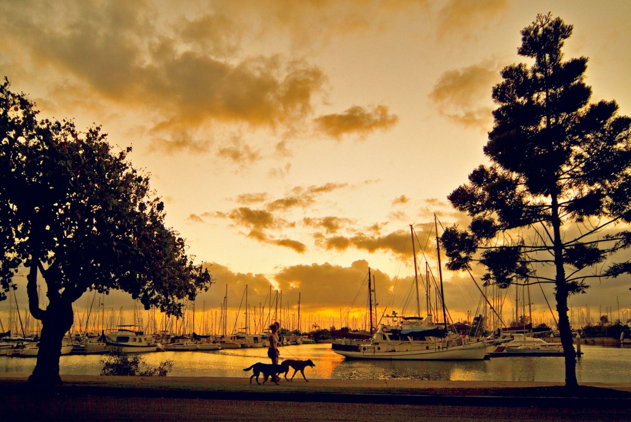 Queensland’s Best Running Routes | Queensland