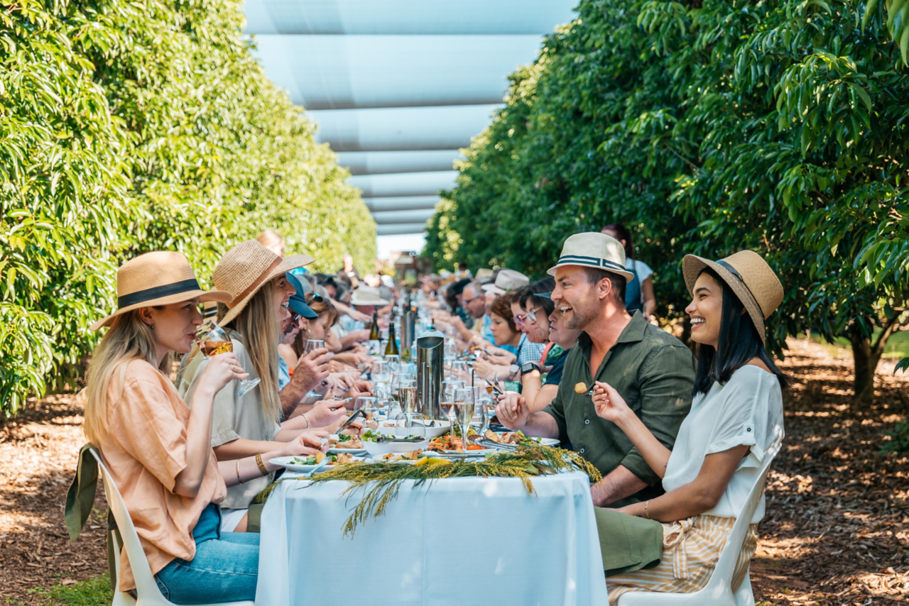 A Guide to The Curated Plate | Queensland