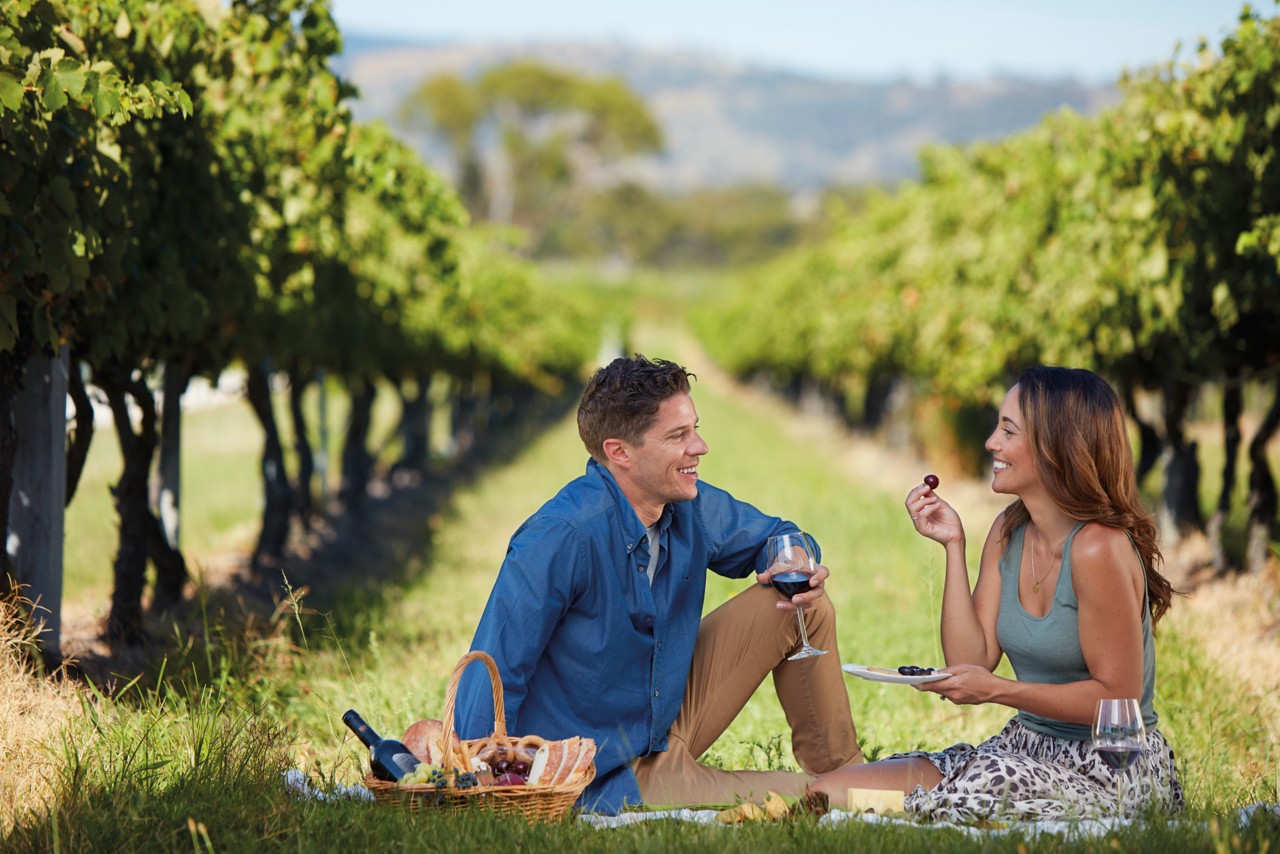 The Perfect Stanthorpe Picnic with Only Local Produce | Queensland