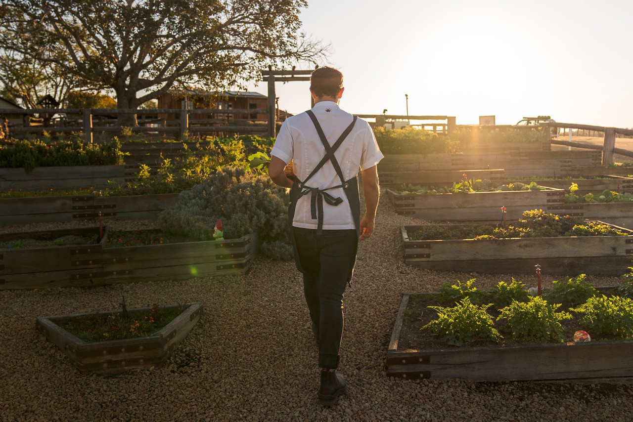 Dine With a Conscience at Queensland’s Best Sustainable Restaurants ...